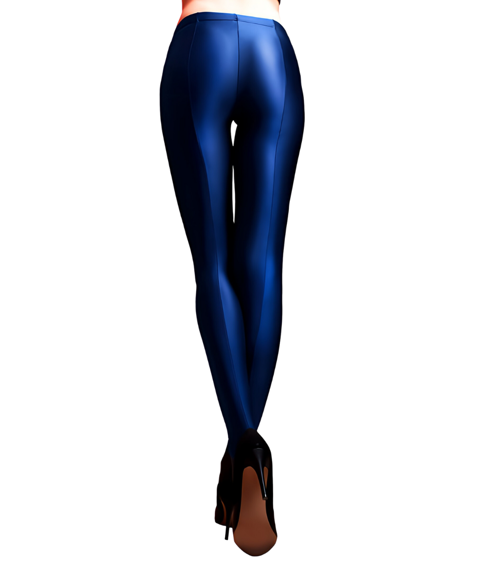 CDR Uppsala Glossy Tights | The nylon bar